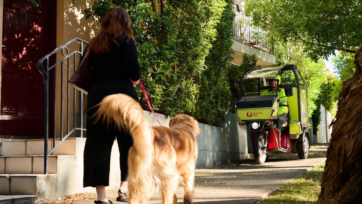 Call to protect postmen from dogs