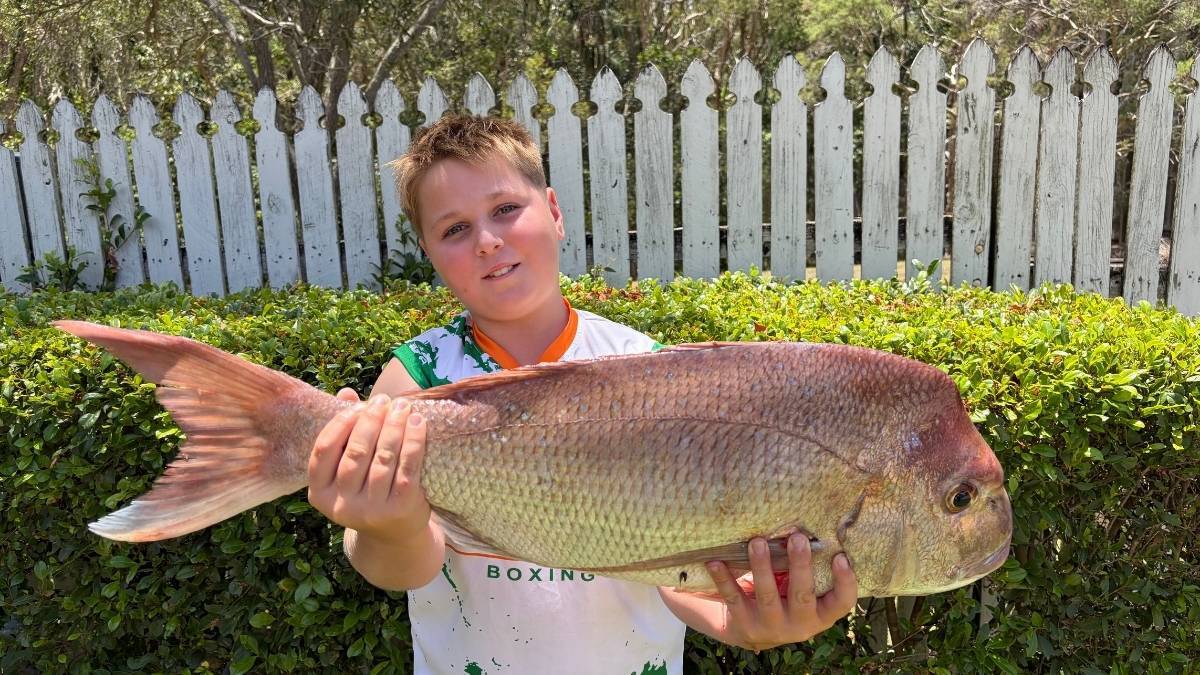 Birthday snapper tops off early-morning fishing trip at Scotts Point