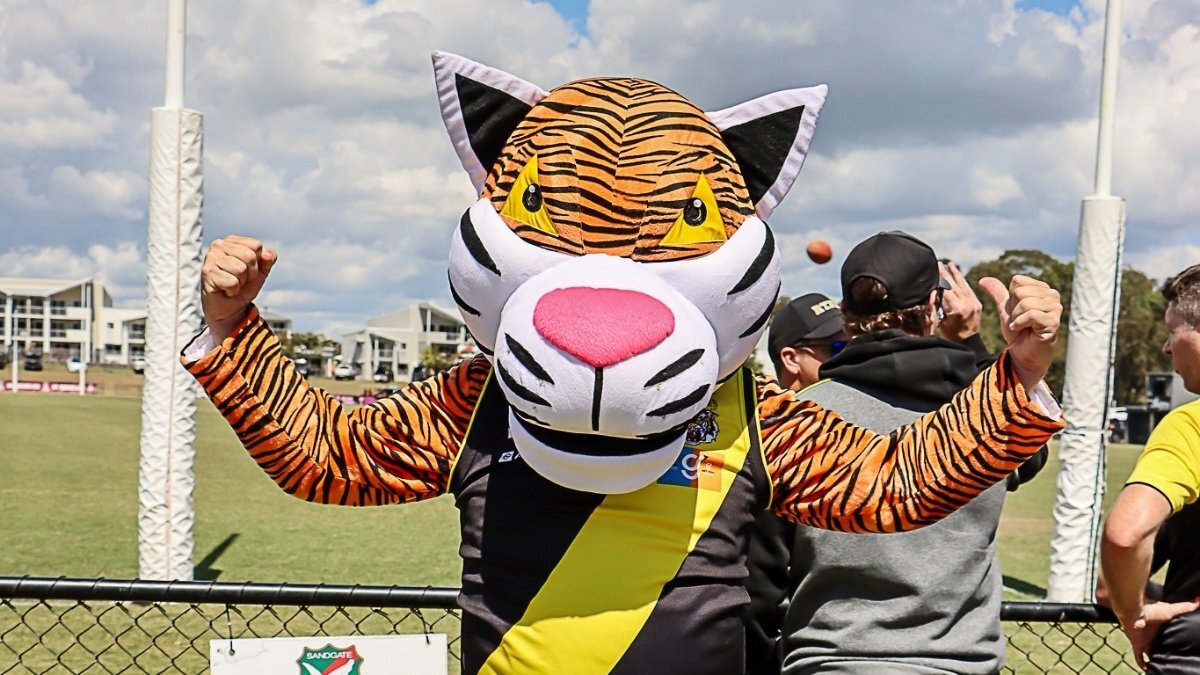 Redcliffe Tigers AFC