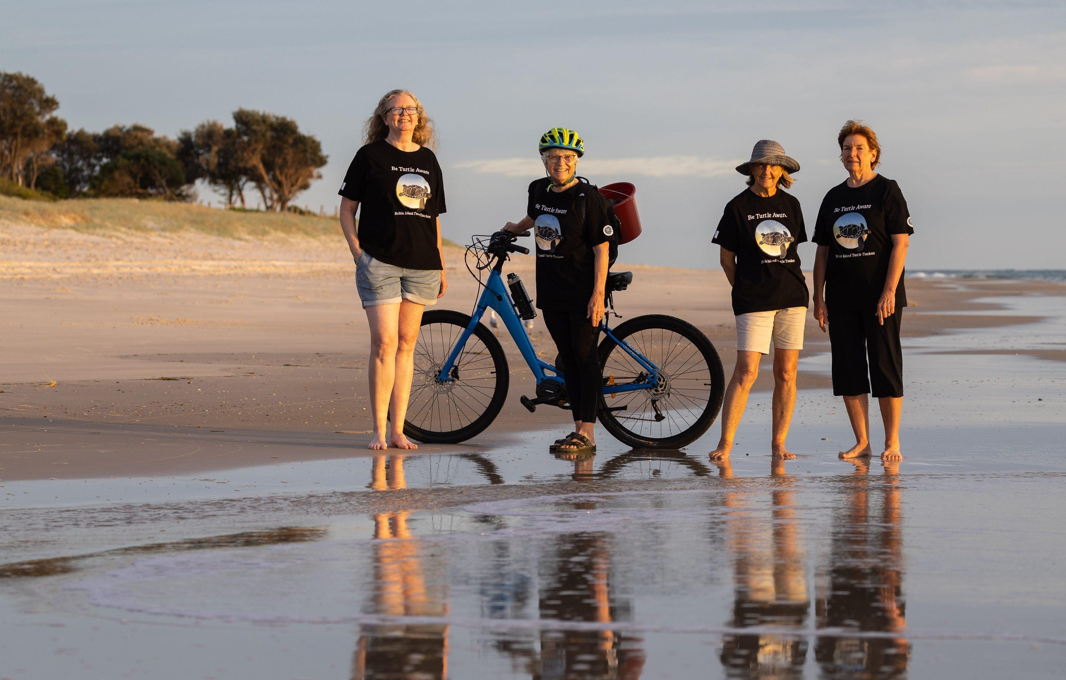 Sculpture plan to help Bribie turtles