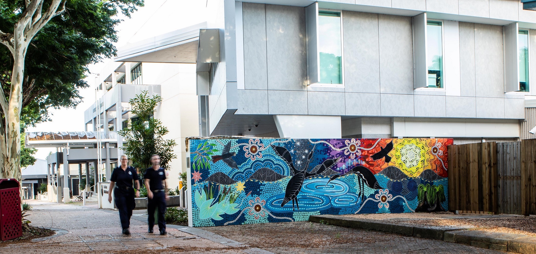Indigenous mural featuring native animals and carpet snake unveiled in ...