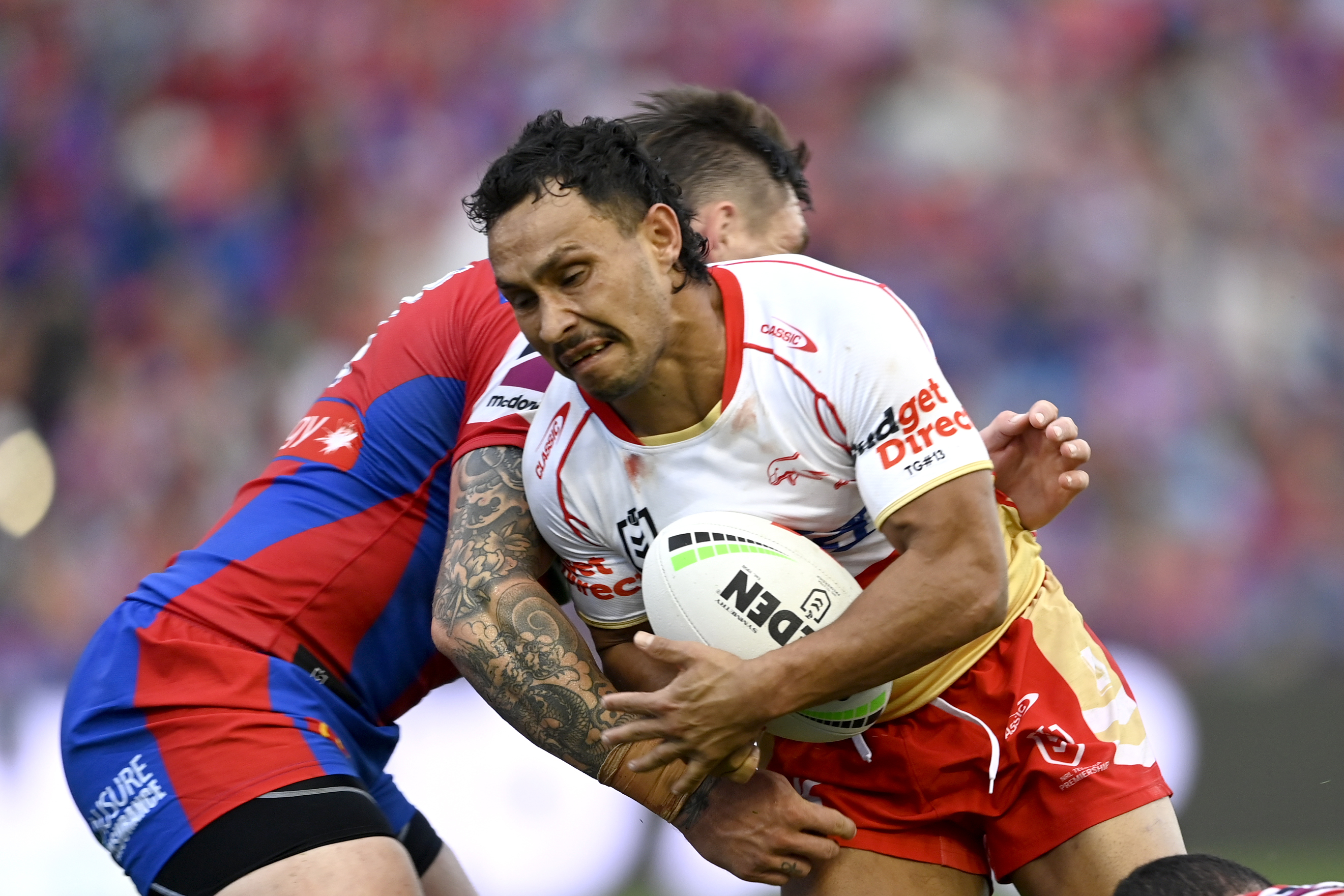 Dolphins' NRL team bow out of finals race