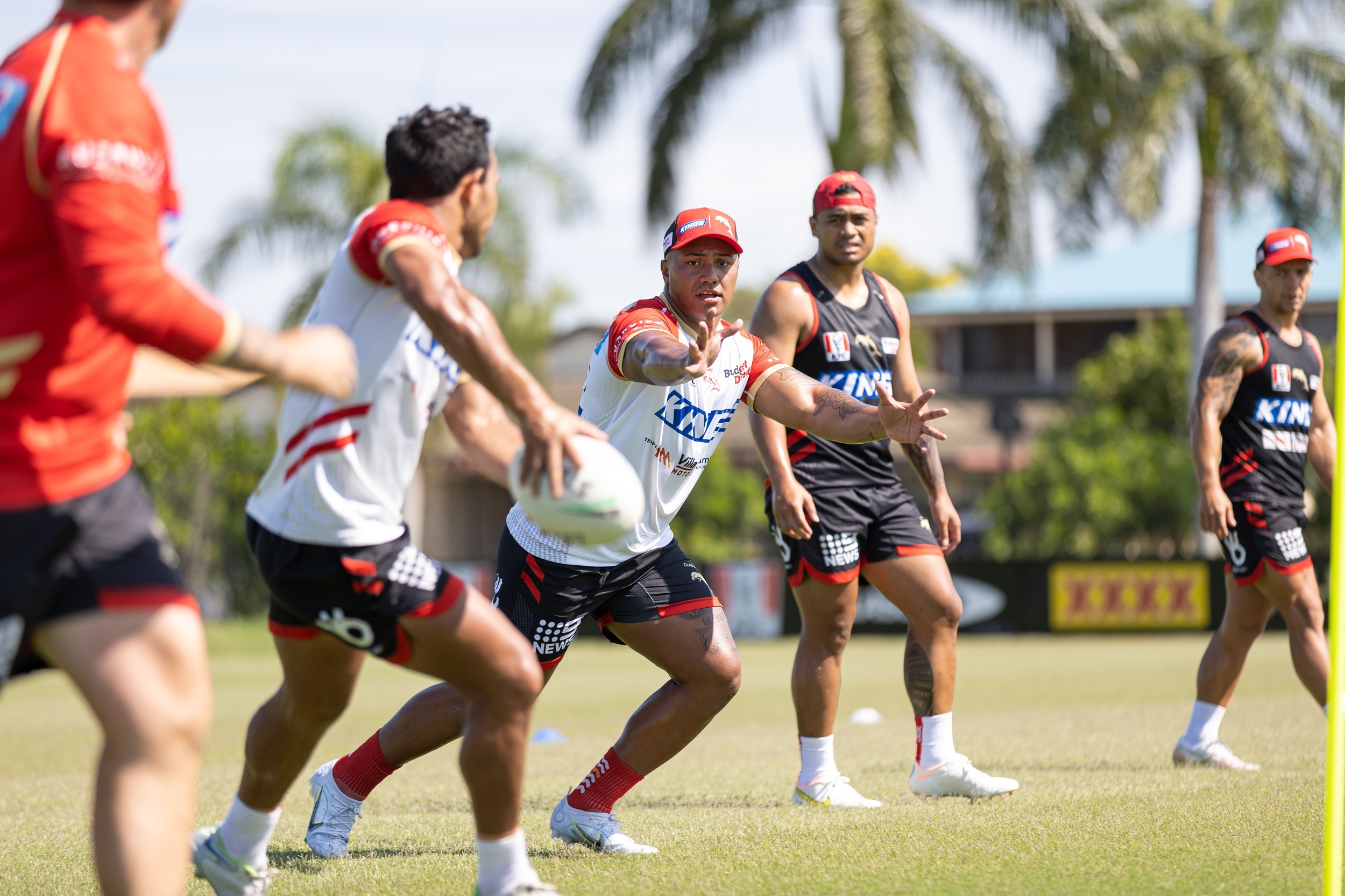 Player profiles: Meet your Dolphins NRL team