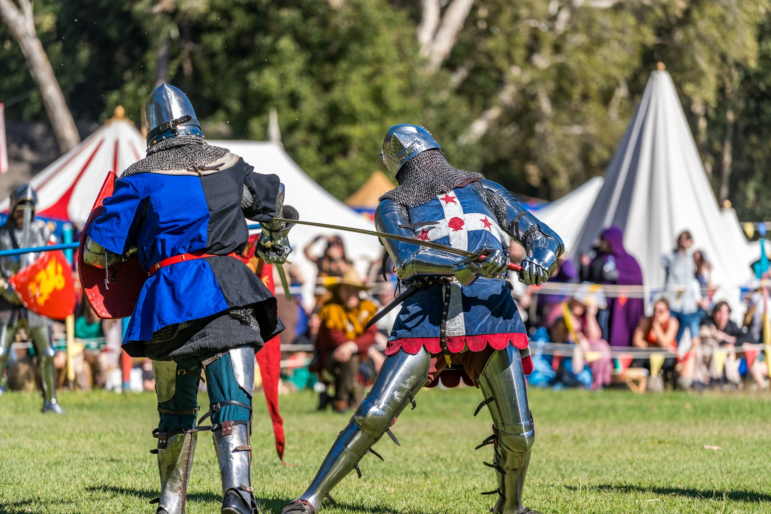 Photo gallery: Abbey Medieval Festival 2023