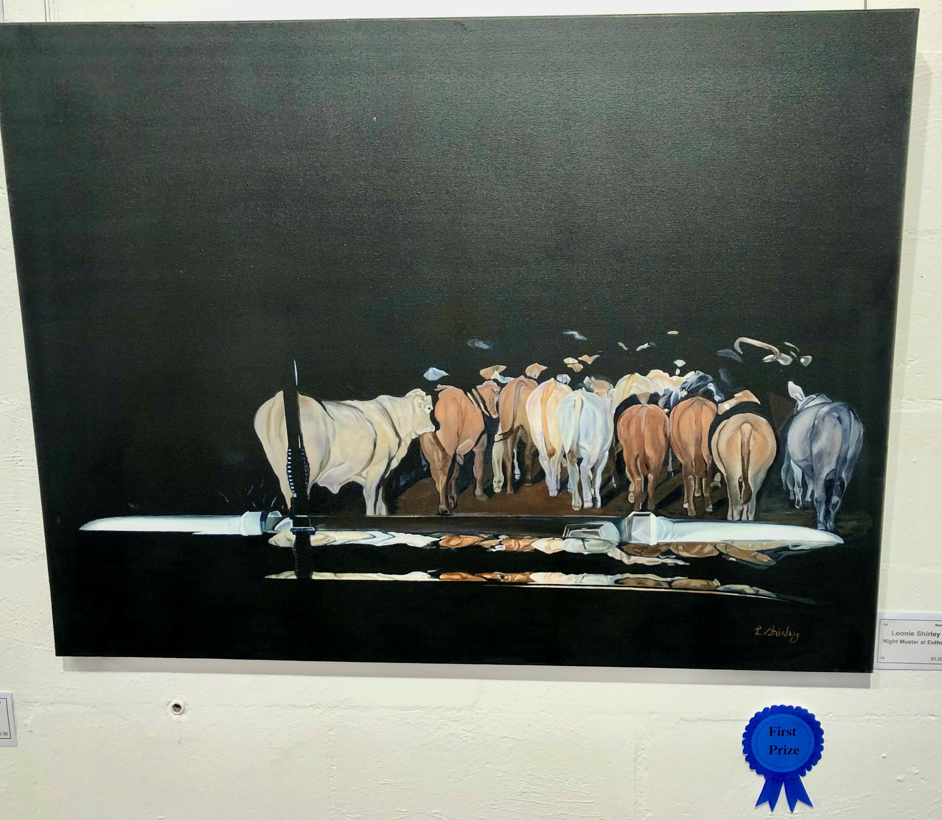 Emerging artist wins Matthew Flinders Art Prize