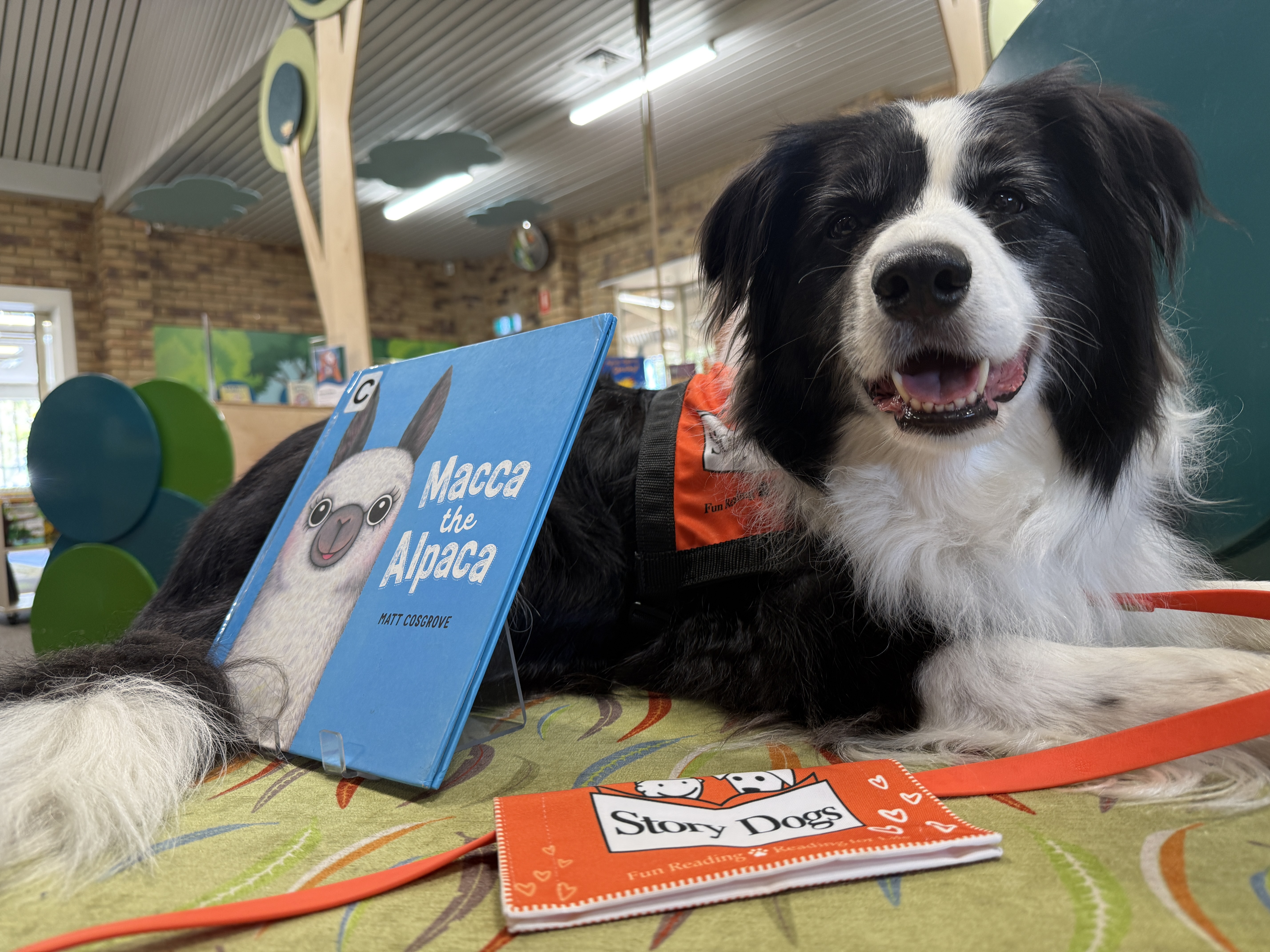 Moreton Bay City Council Budget 2025-26: Divisions 1, 2, 3 highlights