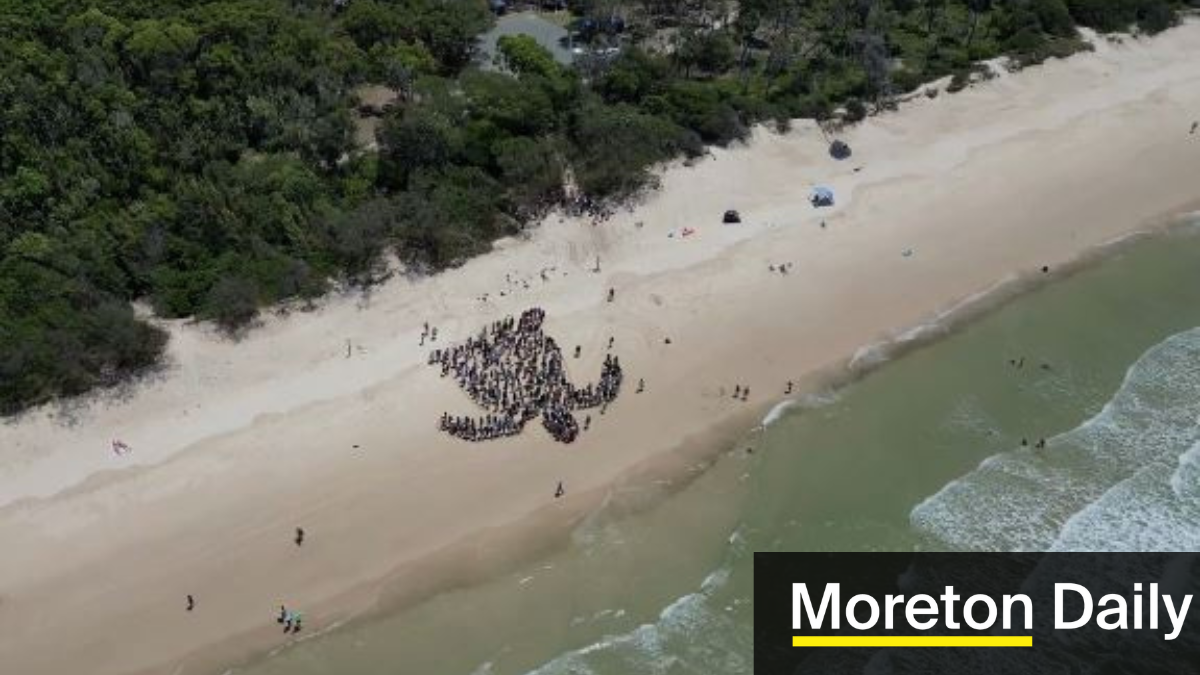 Giant turtle marks start of season