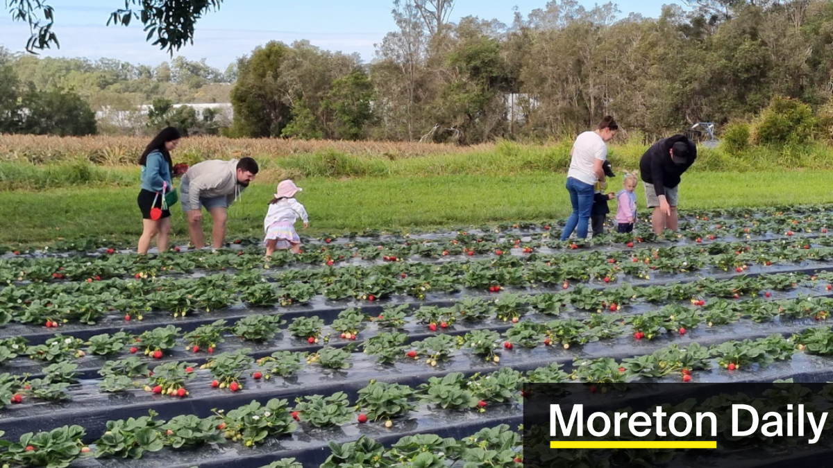 Don’t miss Moreton Bay Farm Trail