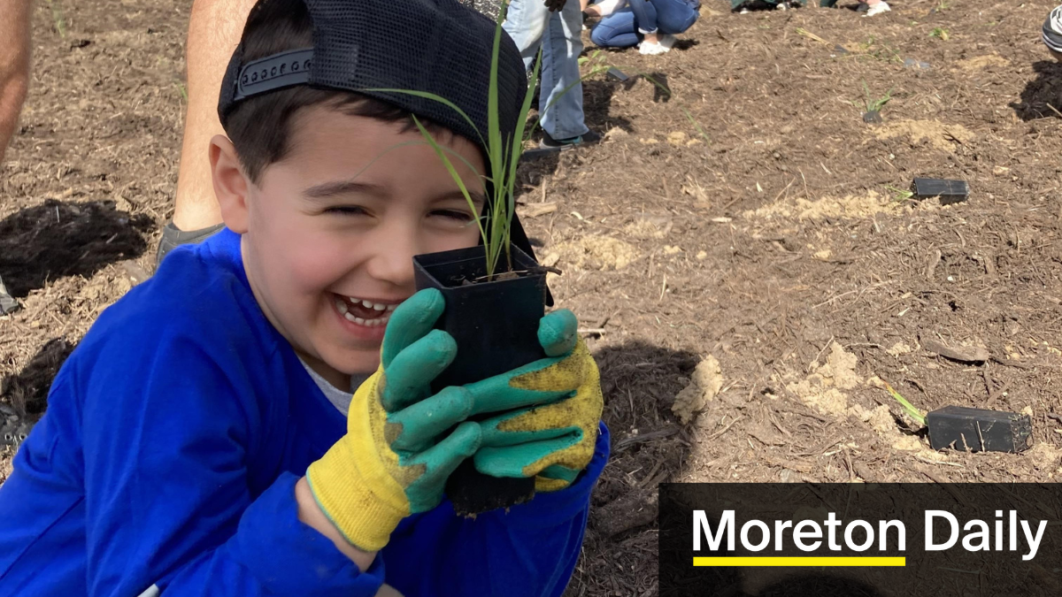 Make a difference on National Tree Day