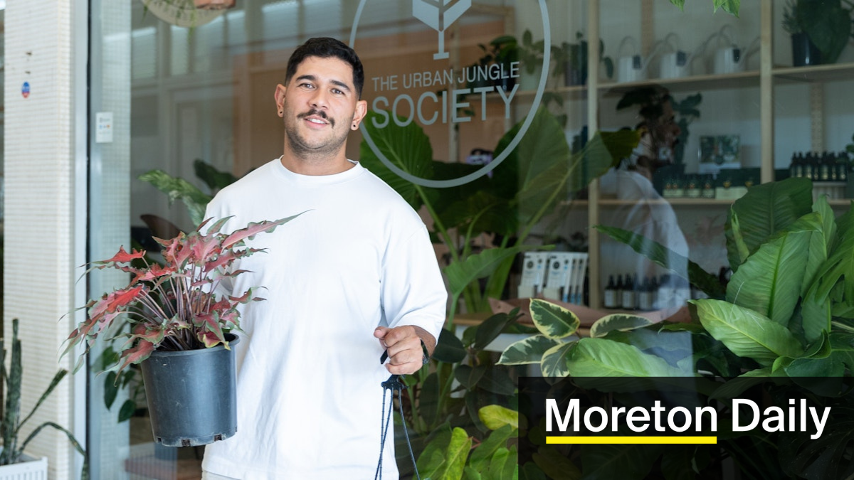 Bringing Jungle to foreshore arcade