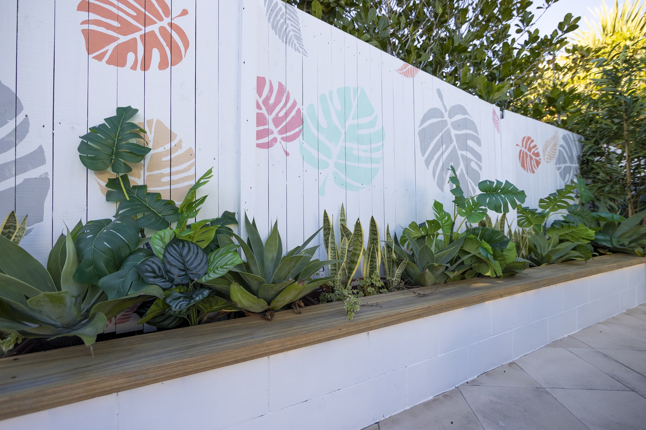 Backyard blitz goes viral