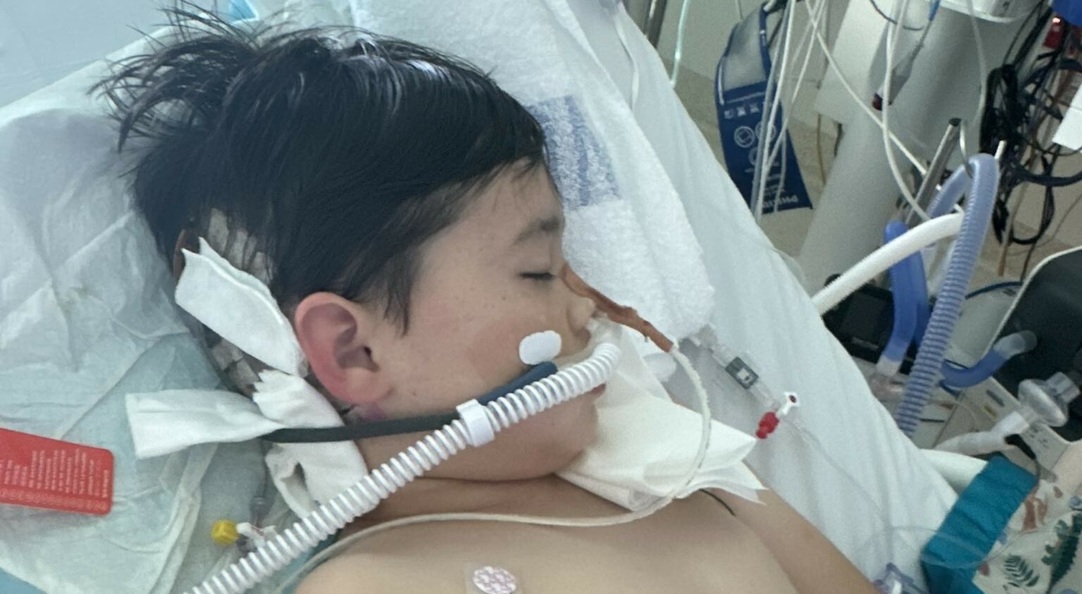 Appeal for family living "worst nightmare"