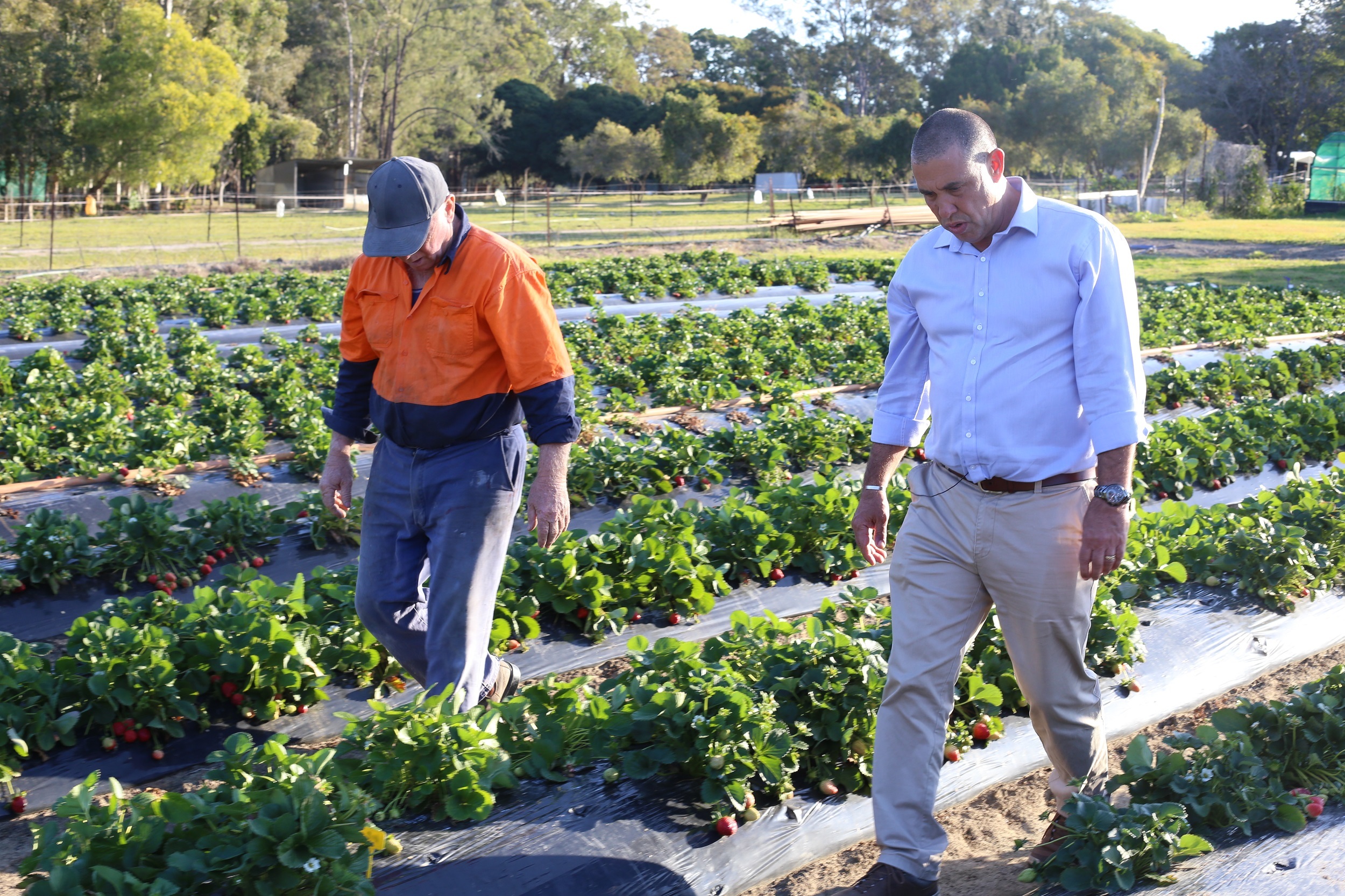 School-leavers urged to pick a gap year