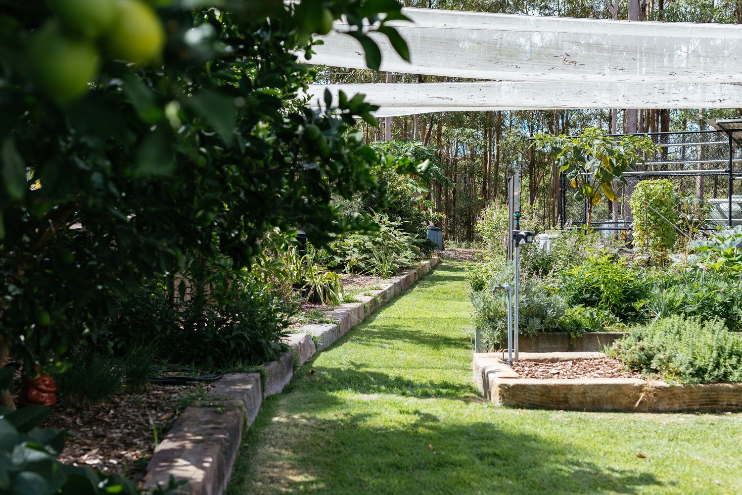Gifted gardeners to open their gates