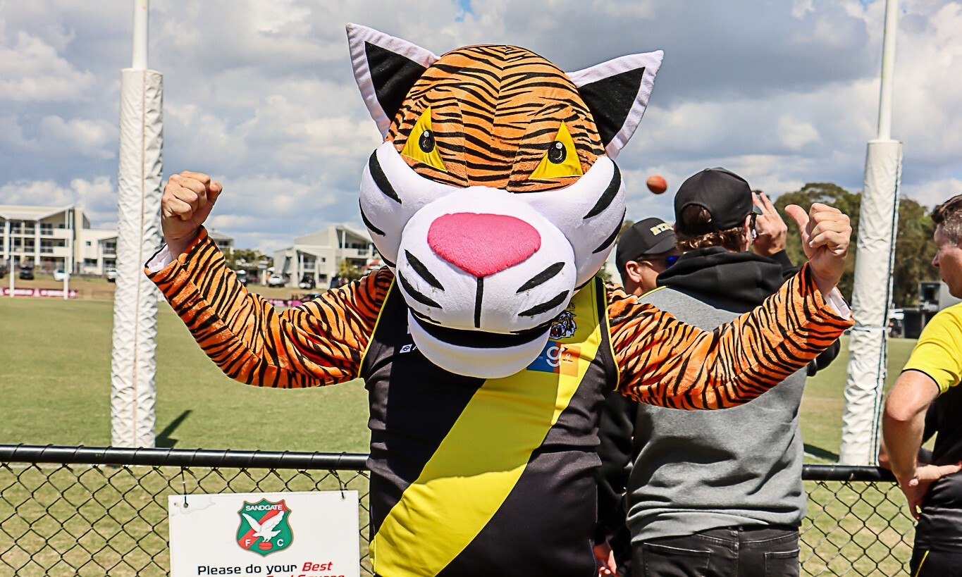 Tigers at the double double