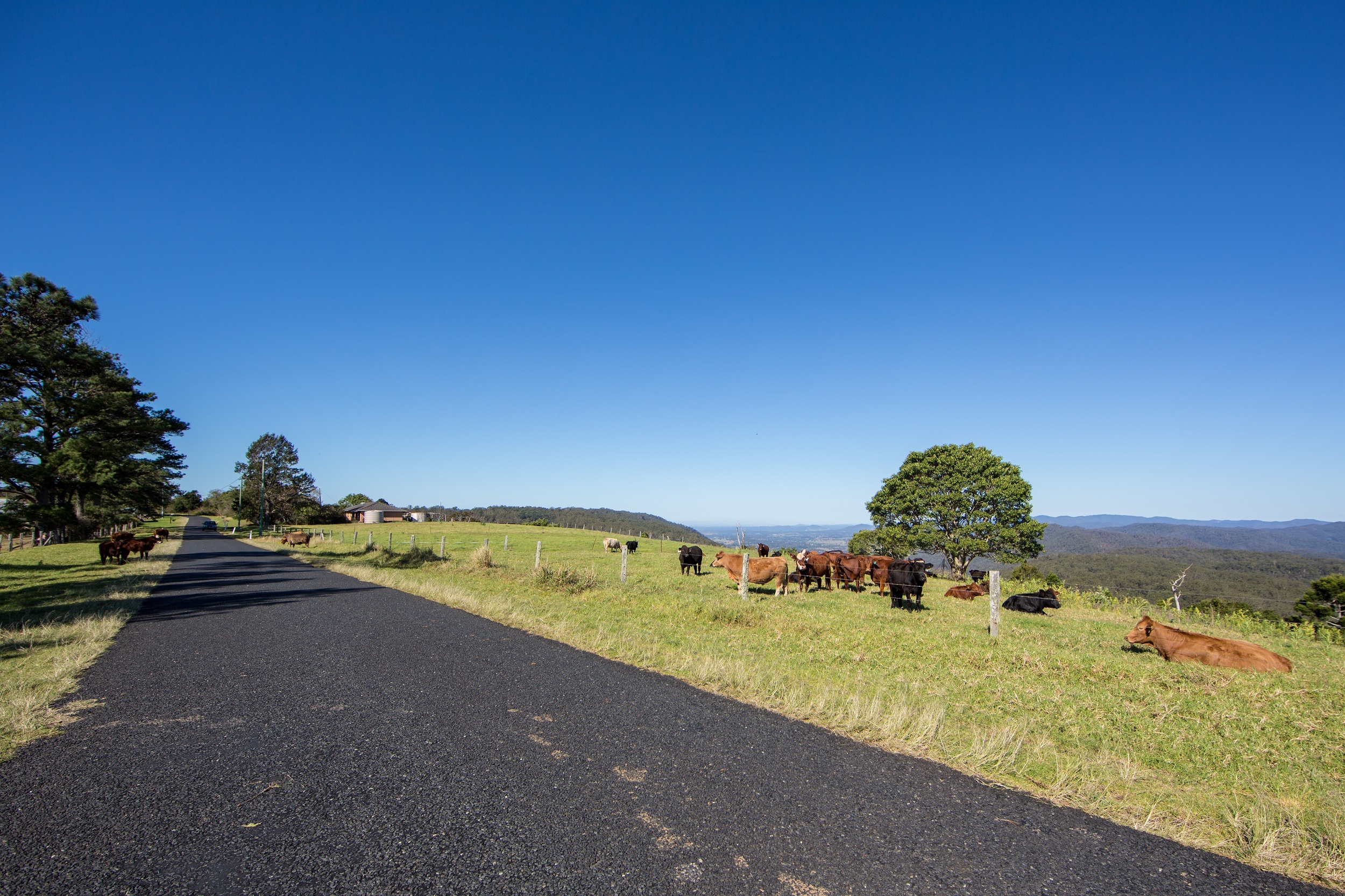 King Scrub | Moreton Bay Region