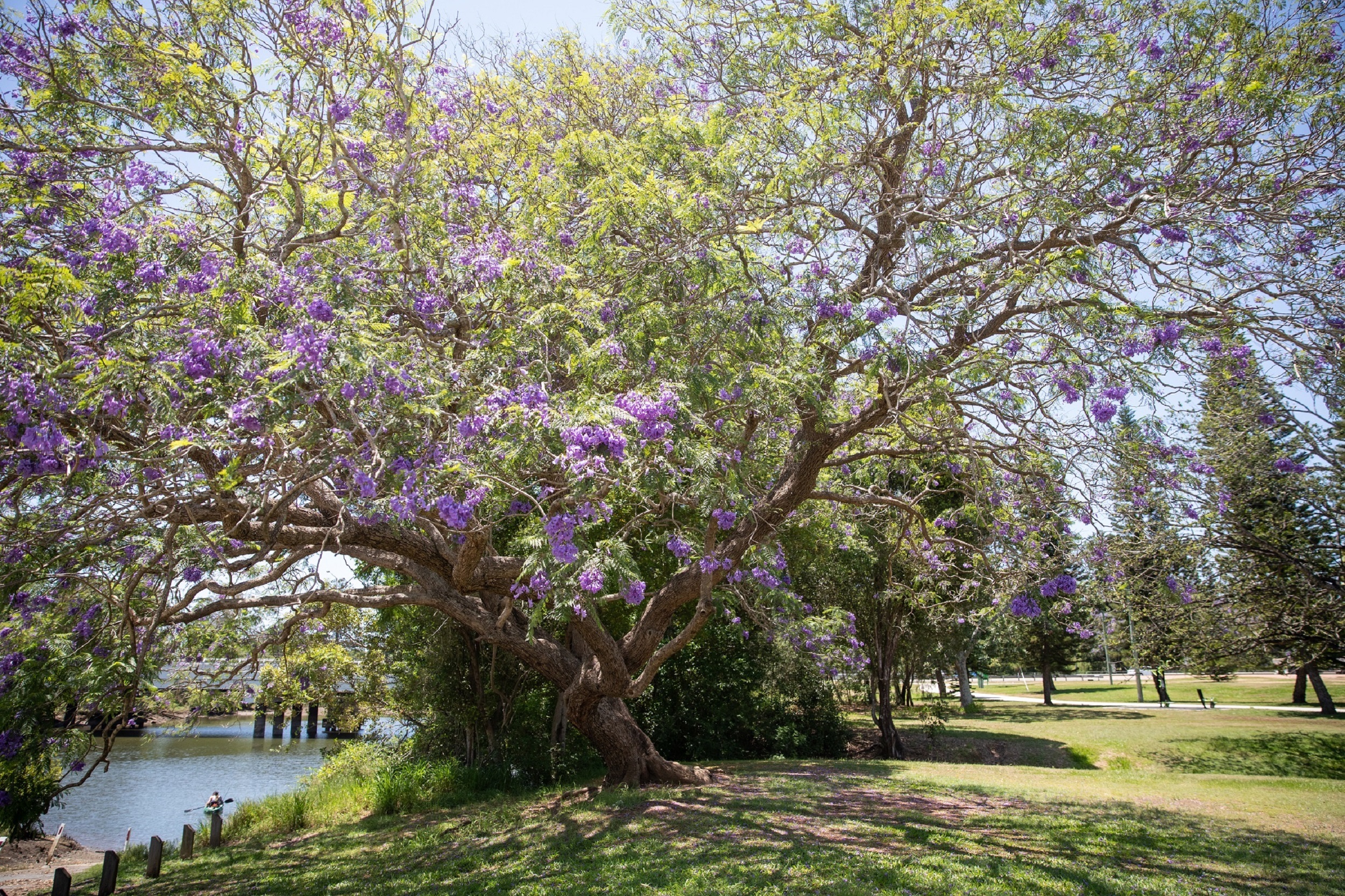 Lawnton | Moreton Bay Region