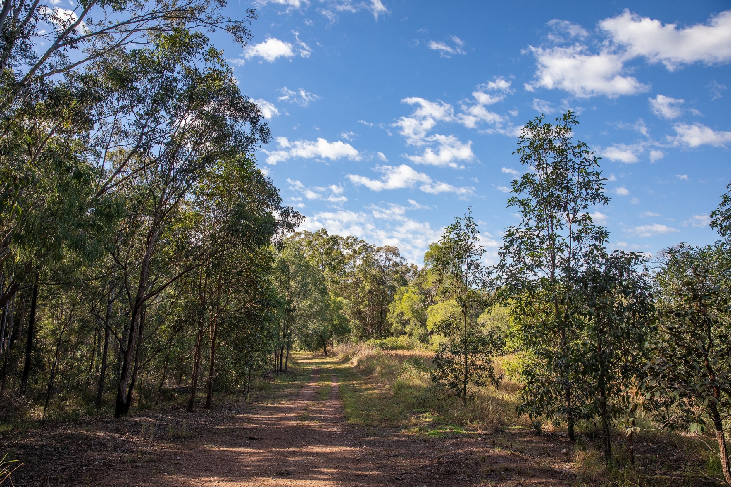 Samsonvale | Moreton Bay Region
