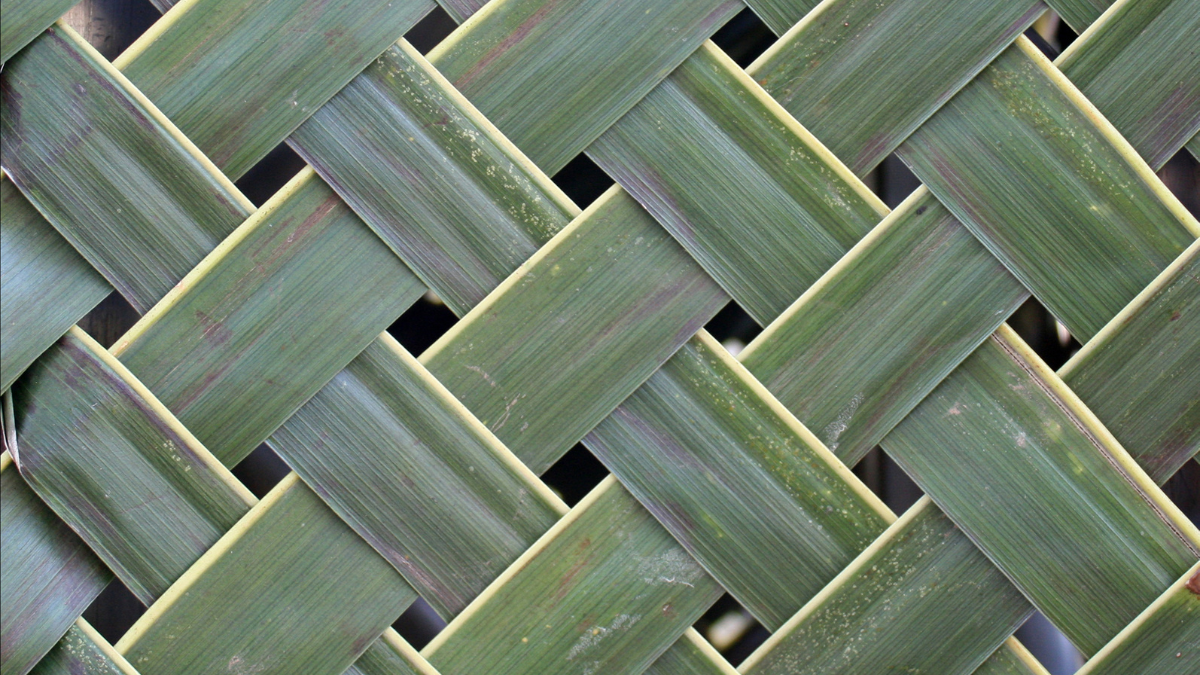 Weaving from the Torres Strait Islands